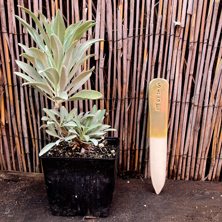 Ceramic Stick Tag - Sage / Rabbit Heart Ceramics – Artemisia Nursery